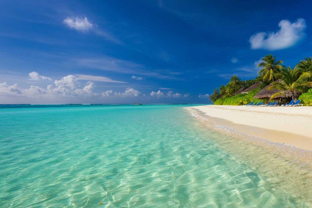 Zanzibar: un paradiso tra spiagge da sogno e avventure safari - Okviaggi.it